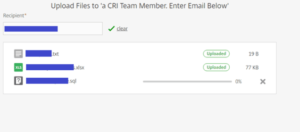 Sharefile Information | Carr, Riggs & Ingram